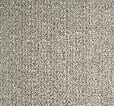 Baccarat Commercial Carpet by Remland (Linen, 3m x 4m)