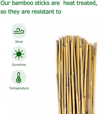 Bamboo Cane 91.5cm, Pack of 30 Garden