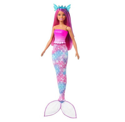 Barbie Dreamtopia Doll & accessories HLC28