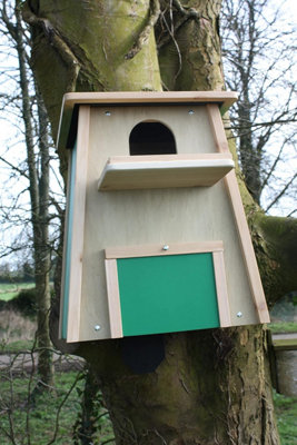 Barn Owl Box Handmade in Our UK Workshop