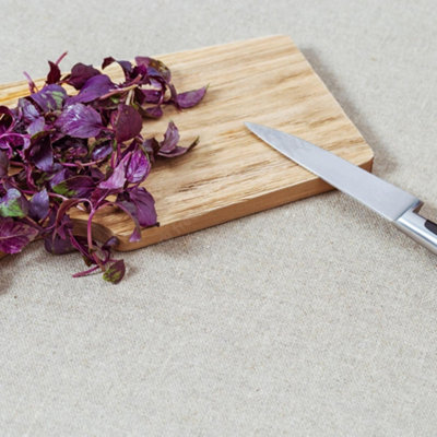 Basil Purple Herb Plant - Purple Basil, Compact Herb (5-15cm Height ...