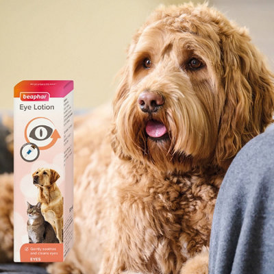 Beaphar Dog & Cat Eye Lotion 50ml - Pack of 3