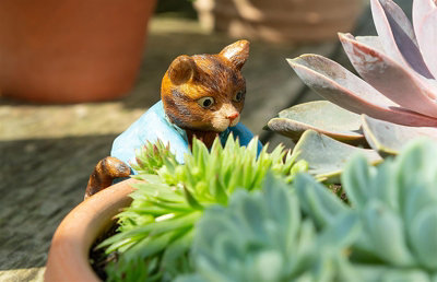 Beatrix Potter Full Colour Tom Kitten