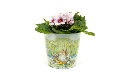 Beatrix Potter Peter Rabbit Eco Pots Set 2 - L13 x W13 x H12.5 cm