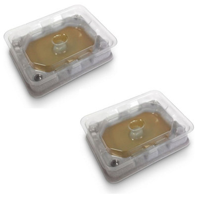Bed Bug Monitor Trap Adhesive Bed Bug Detection & Prevention for ...