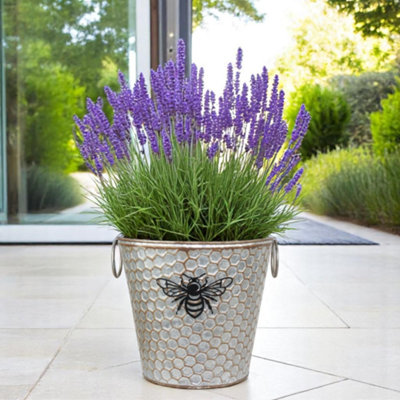 Bee Design Tin Pail Planter - 16cm