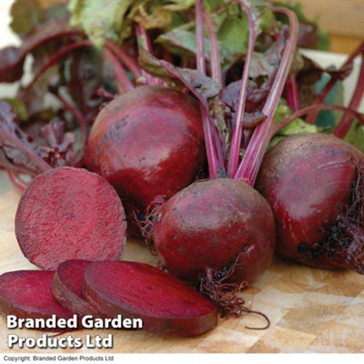 Beetroot Boltardy 1 Seed Packet (300 Seeds)