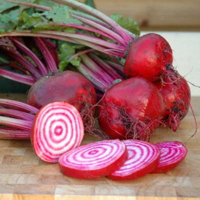 Beetroot Chioggia Seeds Heirloom Variety with Bullseye Pattern & Mild ...