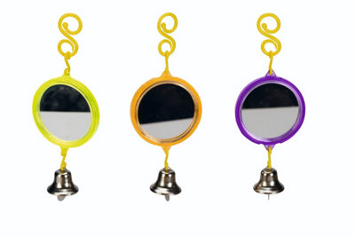 Beeztees Plastic Round Mirror And Bell 8x5.5cm | DIY at B&Q