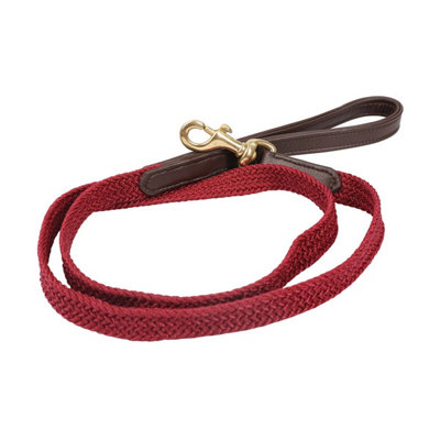 Benji & Flo Braided Leather Dog Lead Burgundy (100cm)