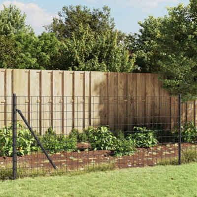 Berkfield Wire Mesh Fence with Spike Anchors Anthracite 1x10 m