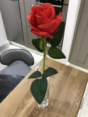 Romantic Single Rose