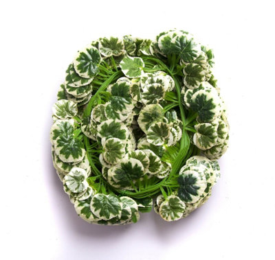 Best Artificial 7ft - 210cm Variegated Crab-Apple Ivy Garland String ...