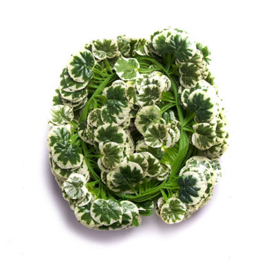 Best Artificial 7ft - 210cm Variegated Crab-Apple Ivy Garland String ...