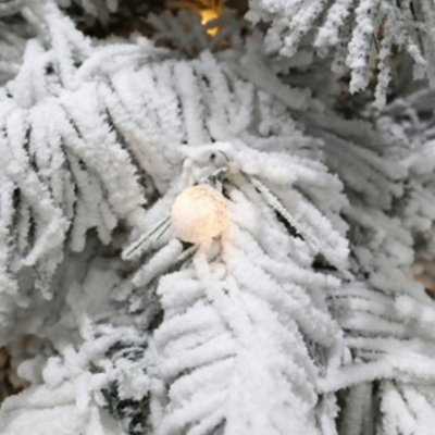 Best Artificial 7ft Pre Lit Pearl LED Heavy Snow Flocked Arbol ...
