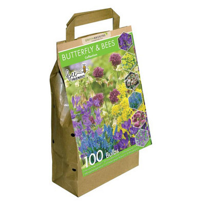 Big Buy Value Pack Bees Butterfly Bulbs Collection-6 Spring Flowering ...