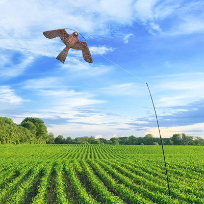 Big Cheese Hawk Kite Bird Scarer Mounting Pole