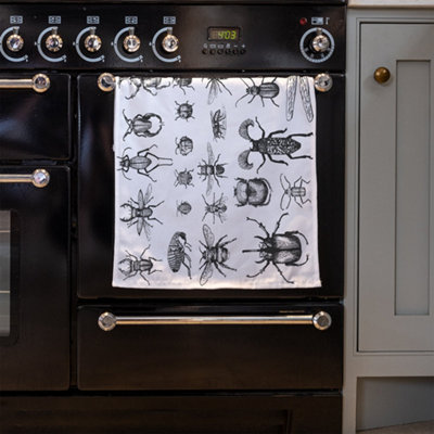 big set of insects bugs beetles and bees, fleas many species in vintage ...