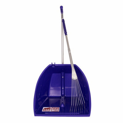 Big Tidee™ with Long Metal Rake / Purple | DIY at B&Q