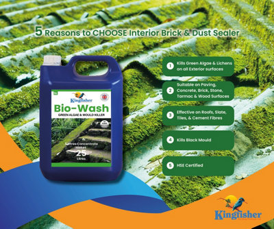 Bio-Wash Green Algae Killer - Removes growth on exterior hard surfaces