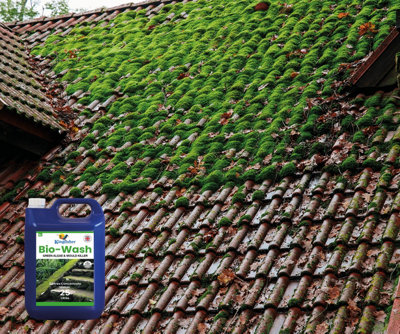 Bio-Wash Green Algae Killer - Removes growth on exterior hard surfaces