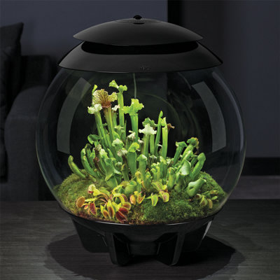 biOrb AIR 30 Black 30L Acrylic Terrarium with LED Lighting Ultrasonic ...