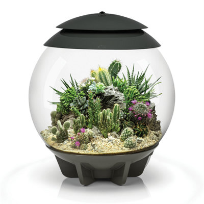 biOrb AIR 30 Grey 30L Acrylic Terrarium with LED Lighting Tropical ...