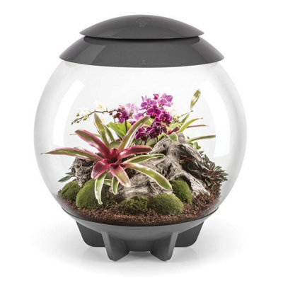 BiOrbAIR 60 Litre Automatic Terrarium in Grey with LED Lighting | DIY ...