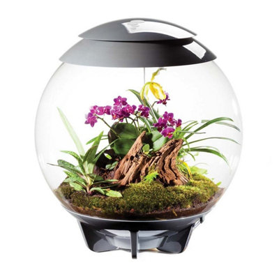 BiOrbAIR 60 Litre Automatic Terrarium in Grey with LED Lighting