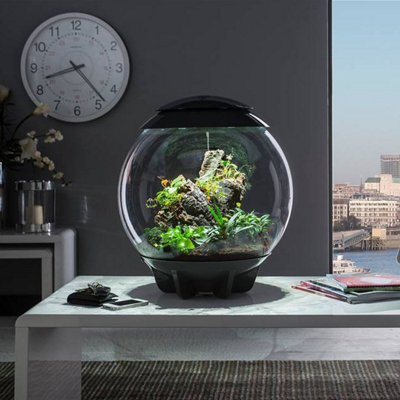 BiOrbAIR 60 Litre Automatic Terrarium in Grey with LED Lighting