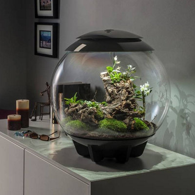 BiOrbAIR 60 Litre Automatic Terrarium in Grey with LED Lighting