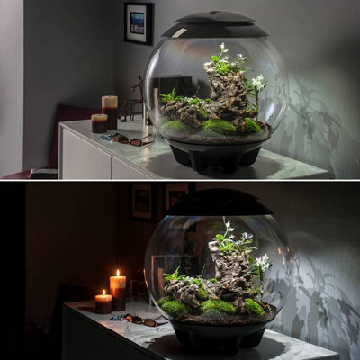 BiOrbAIR 60 Litre Automatic Terrarium in Grey with LED Lighting