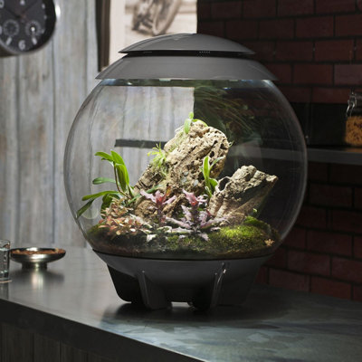 BiOrbAIR 60 Litre Automatic Terrarium in Grey with LED Lighting