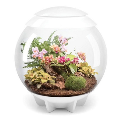 BiOrbAIR 60 Litre Automatic Terrarium in White with LED Lighting