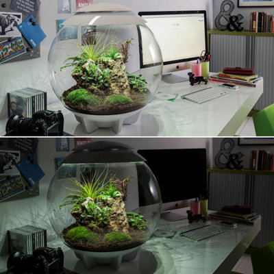 BiOrbAIR 60 Litre Automatic Terrarium in White with LED Lighting