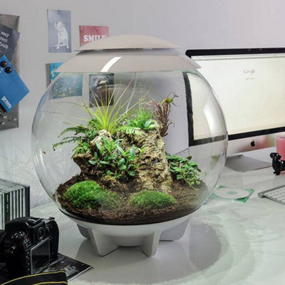 BiOrbAIR 60 Litre Automatic Terrarium in White with LED Lighting