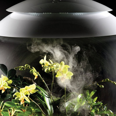 BiOrbAIR 60 Litre Automatic Terrarium in White with LED Lighting