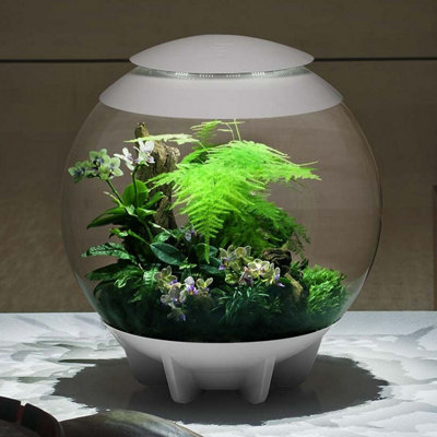 BiOrbAIR 60 Litre Automatic Terrarium in White with LED Lighting