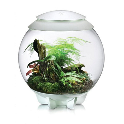 BiOrbAIR 60 Litre Automatic Terrarium in White with LED Lighting