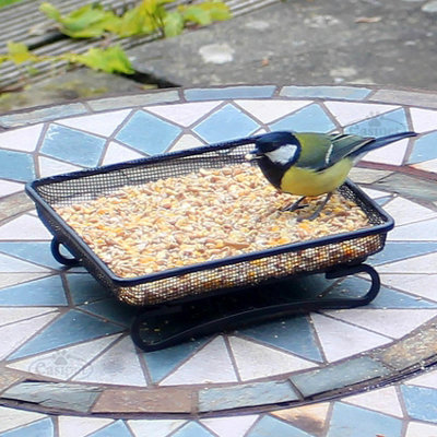 Bird Feeder raised metal micromesh wire Tray | DIY at B&Q