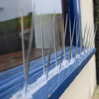 Bird/Pigeon Plastic Deterrent Spikes 5m Anti-Birds Control | DIY at B&Q