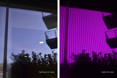 BirdShades anti bird collision strike window film
