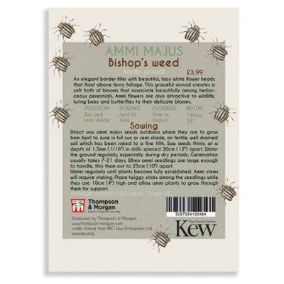 Bishop's Weed Promo New Kew Range 1 Seed Packet