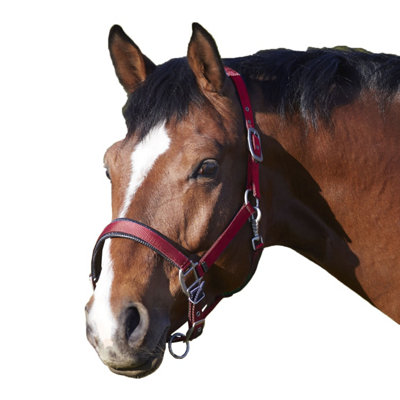 Bitz Deluxe Padded Horse Headcollar Red (Small Pony) | DIY at B&Q