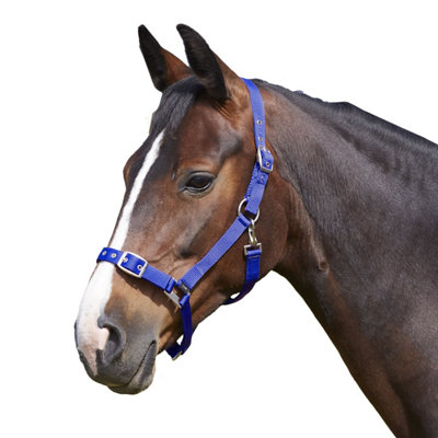 Bitz Everyday Adjustable Horse Headcollar Navy (Cob) | DIY at B&Q