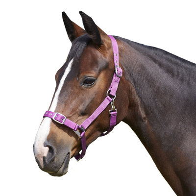 Bitz Everyday Adjustable Horse Headcollar Pink (Full) | DIY at B&Q