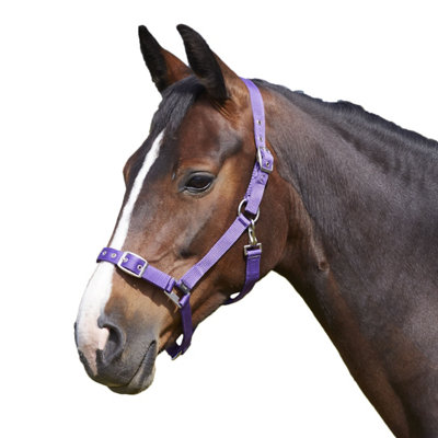 Buy Bitz Everyday Adjustable Horse Headcollar Purple (Cob) | DIY at B&Q