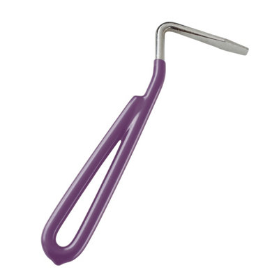Buy Bitz Metal Horse Hoof Pick Purple (One Size) at B&Q