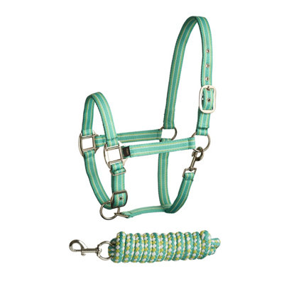 Bitz Two Tone Horse Headcollar and Leadrope Set Aqua Blue/Lime Green ...