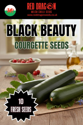 Black Beauty Courgette Seeds for Home Garden Growing